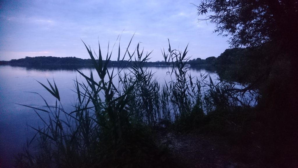 „Hören – spielen – lieben – verehren und – das Maul halten ...